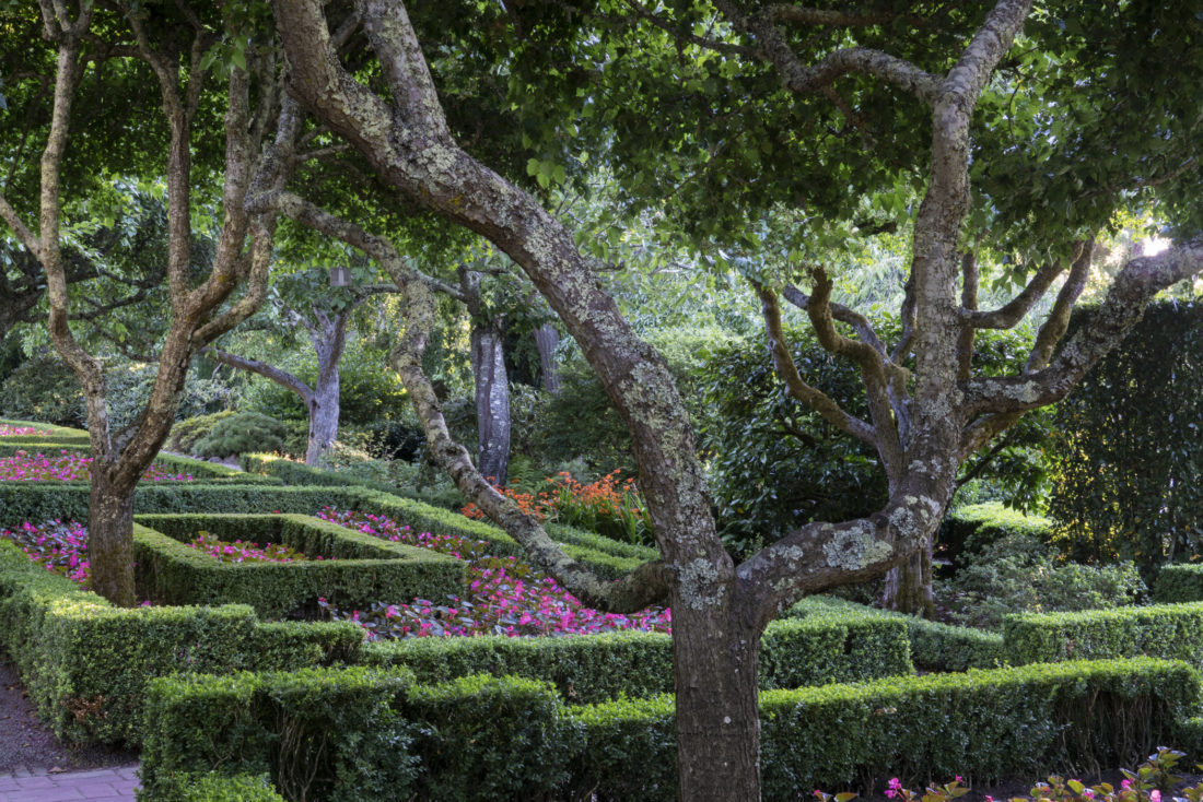 Filoli – 2- 7.26.18 – Pam Perkins