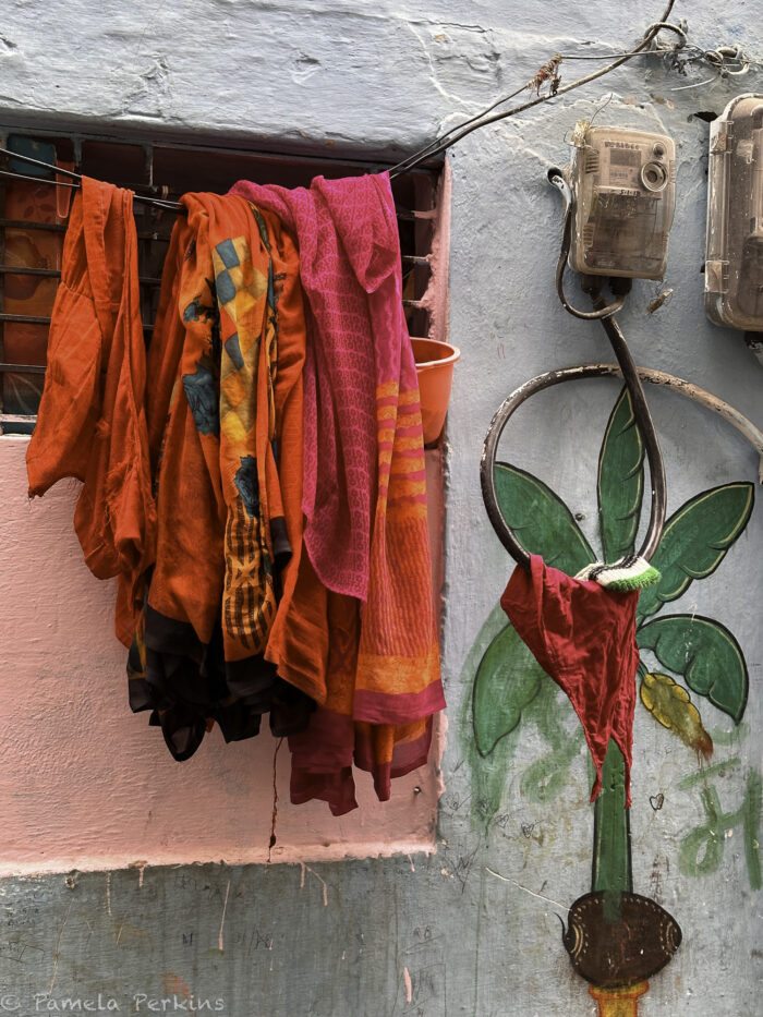 THE ART OF THE CLOTHESLINE – Pam Perkins